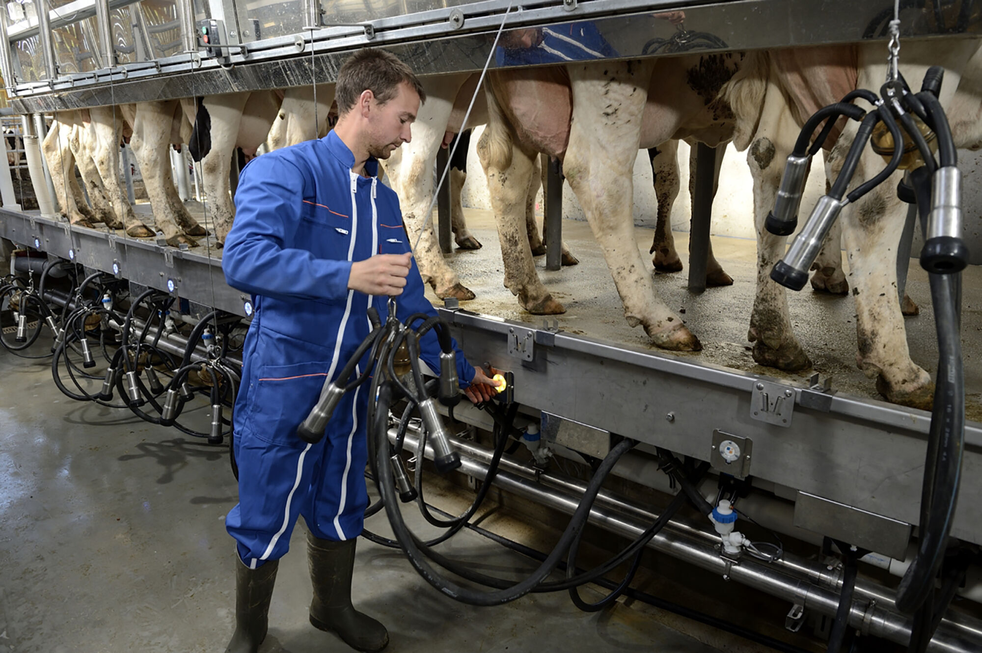 10 manieren om het comfort van de melker te verbeteren – Elite