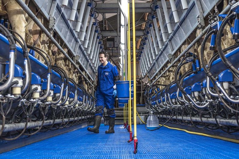 ‘Hier wordt met plezier gemolken’ – Elite