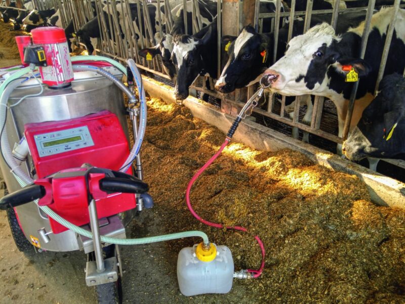 Meer melkvet en lichaamsconditie door drenchen aminozuren na afkalving ...